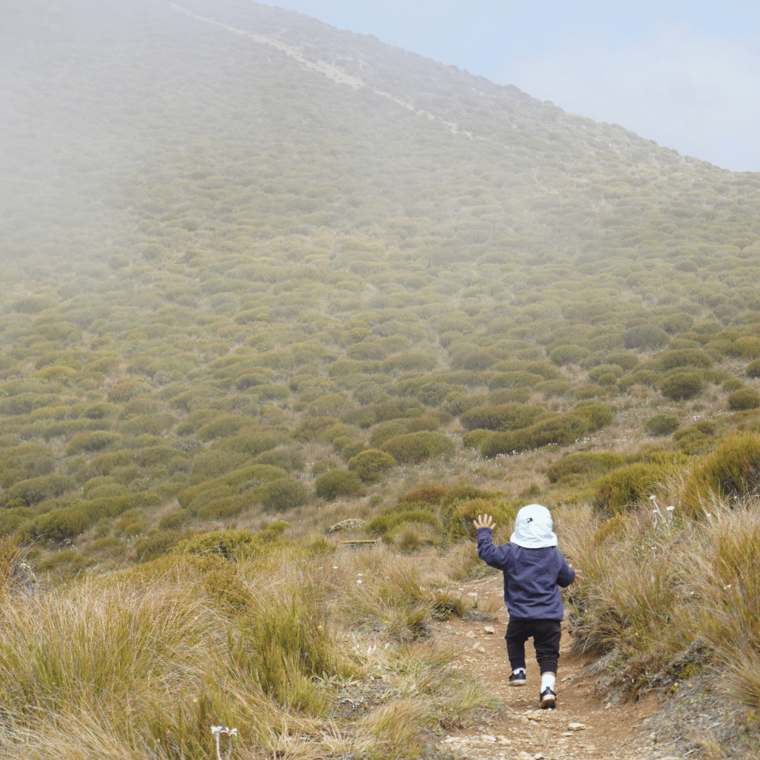 Climate Positive | MyNativeForest